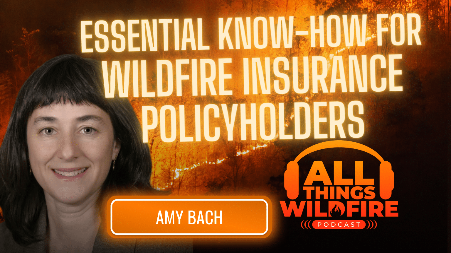 Essential Know-How for Wildfire Insurance Policyholders - All Things ...
